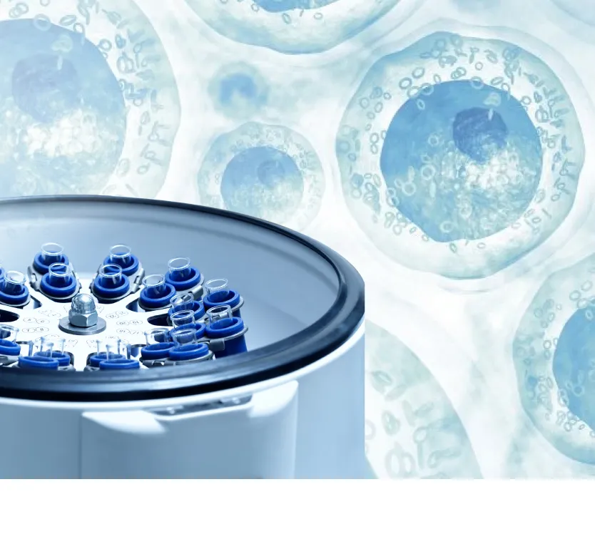 Understanding Stem Cells: A Beginner's Guide